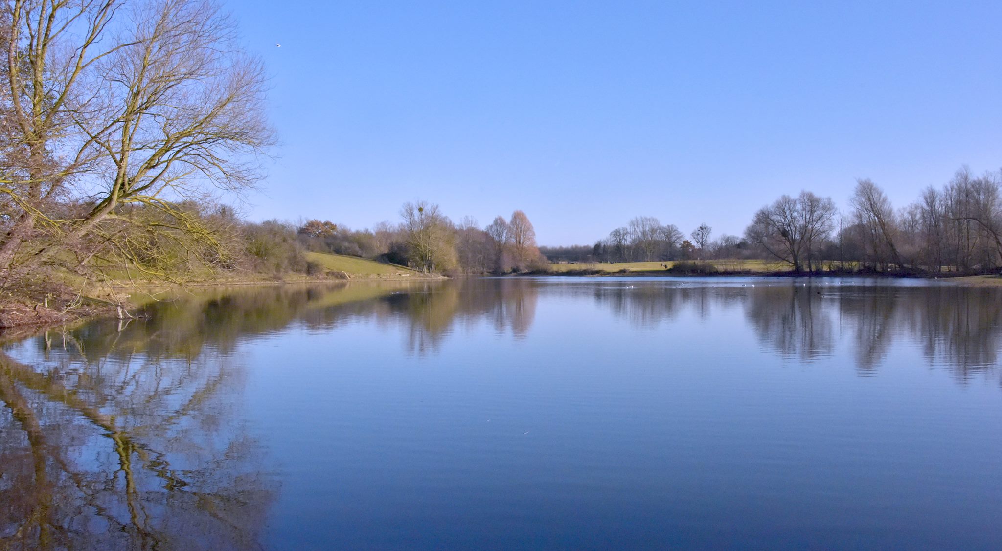 Silver End Pits - Kelvedon District Angling Association
